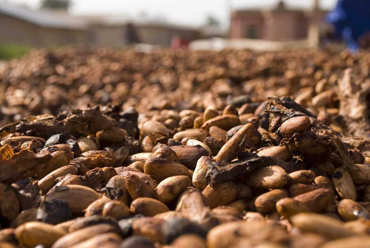 Cocoa Prices Decline as Global Demand Weakens Further - THESCJOURNAL